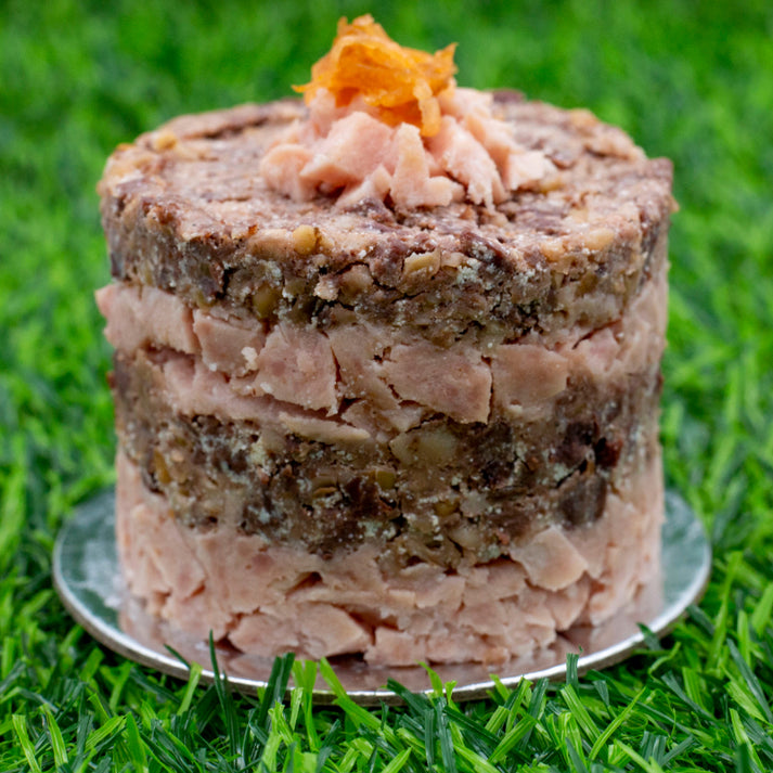 Create Your Own Custom Pet Cake for Dog or Cat - Adored Pets Cuisine